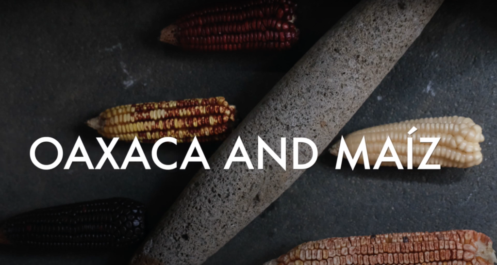 Oaxaca y el maíz - Universidad de la tierra